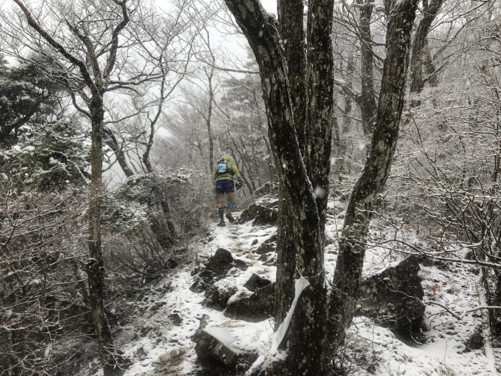 UTMF 2019に参加してきました。(Part7・まさかの結末篇) - てきとーに走ったりする日記